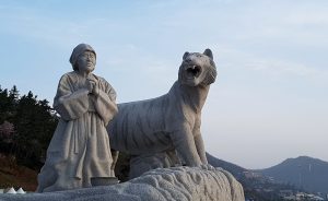 The Miracle Morning at the Jindo Sea Parting Festival - The Toronto ...
